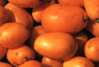 Escola São José Operário