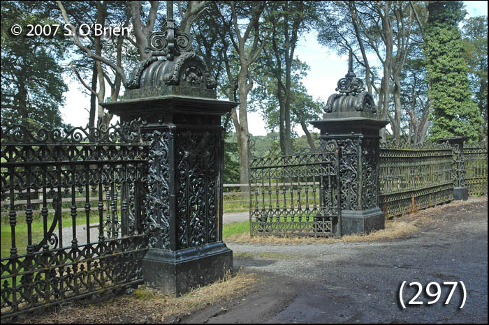 Portlaw: THE PORTLAW MORLEYS