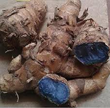 SUMBER ILHAM: KHASIAT KUNYIT HITAM UNTUK KESIHATAN