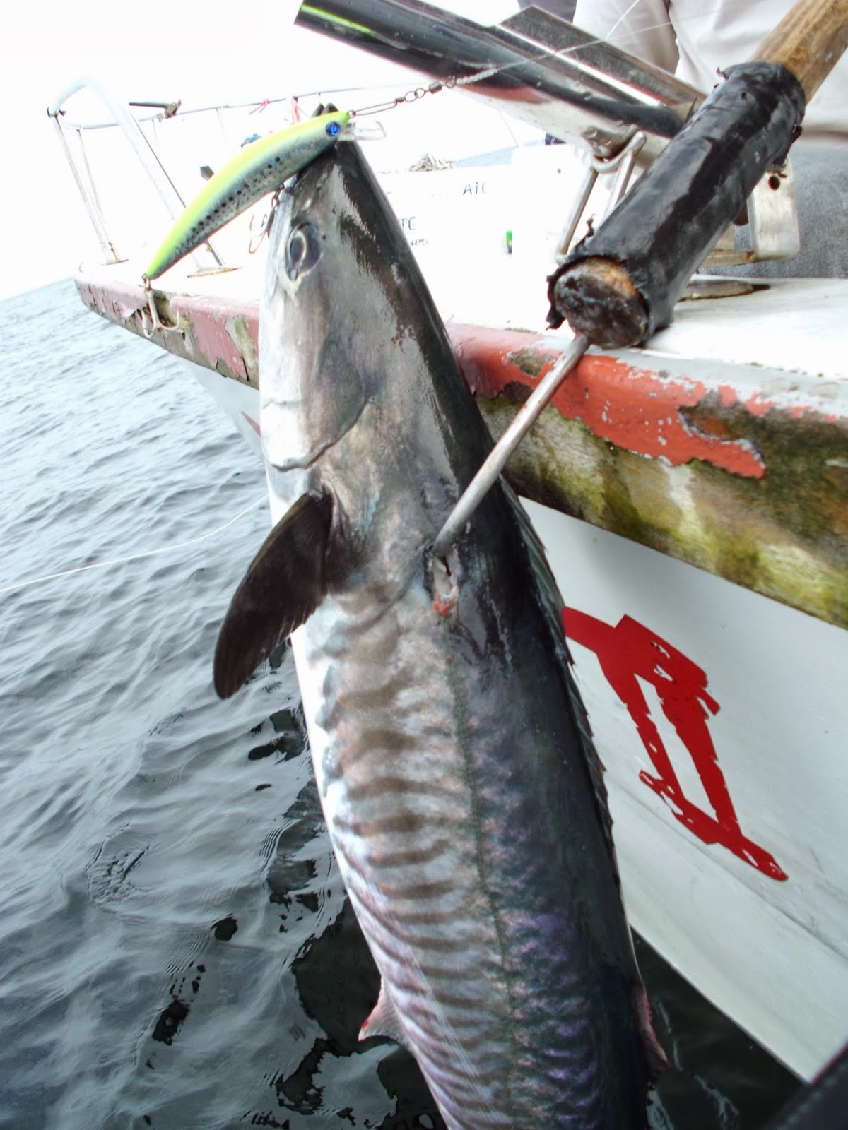Jarak Island Jigging & Popping ~ Go Fishing Malaysia