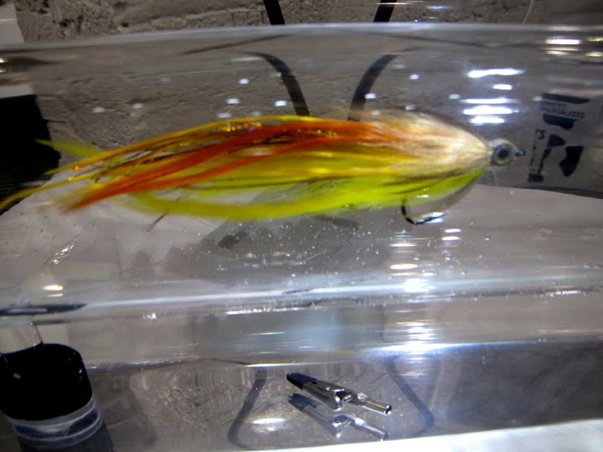 Anglers Choice Flies News Feed: Tube Fly Tech swim tanks...yeah baby!