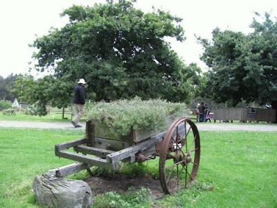 Green Gourmet Giraffe: CC Chesterfield Farm and Smoky Red Pepper Hummus
