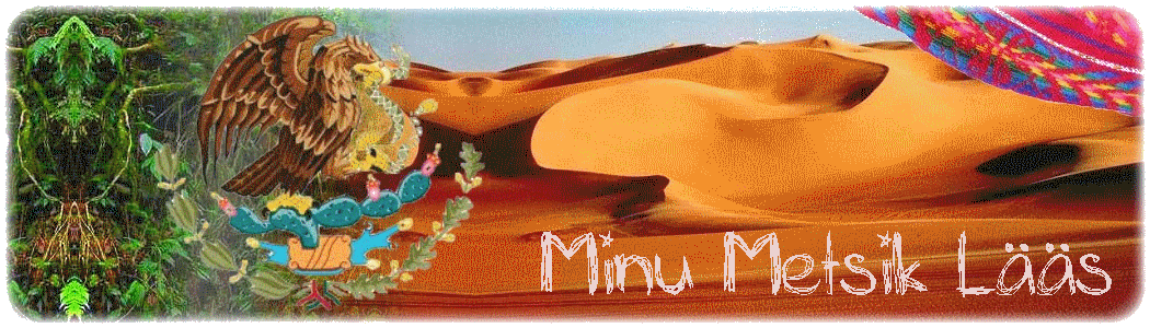 Mehhiko - Minu Metsik Lääs: Mehhiko