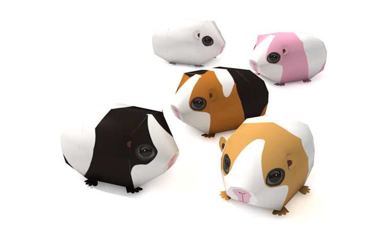Cute Guinea pig paper model