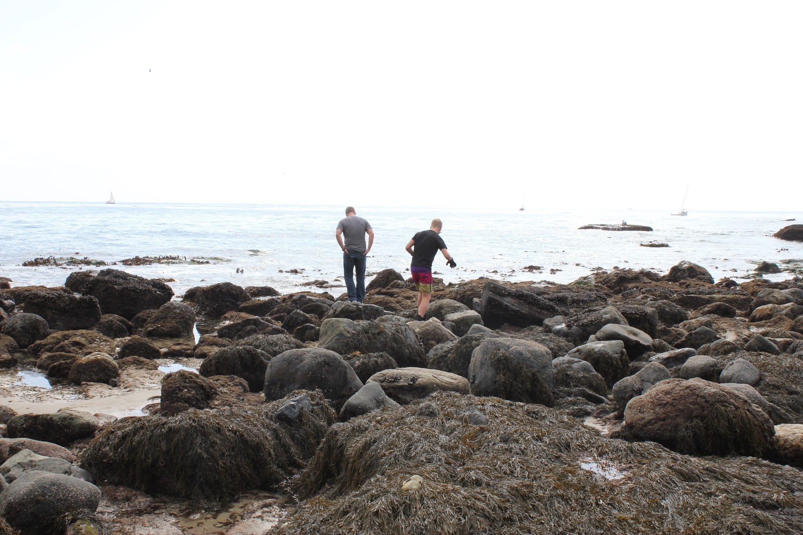 Nick Greger's Beach Project
