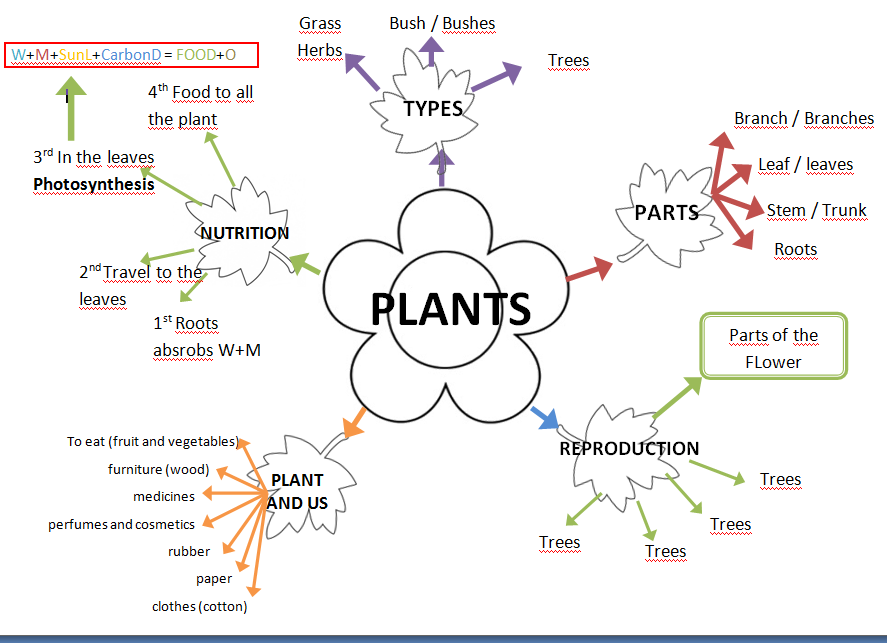 Los blogueros de Tercero: NATURAL