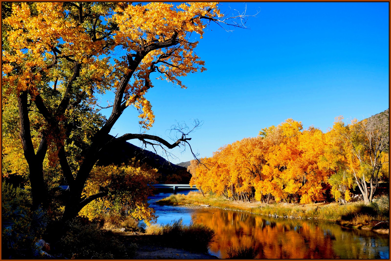 Creative Journey: Back Country Photography