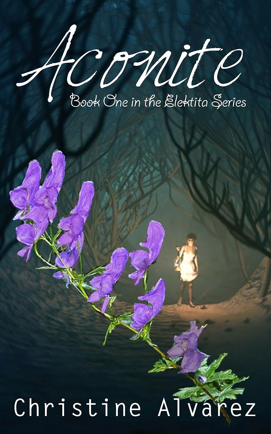 Author Spotlight: Christine Alvarez