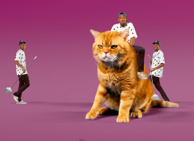 The Classic Good: Tyler, The Creator- Tamale (Video)