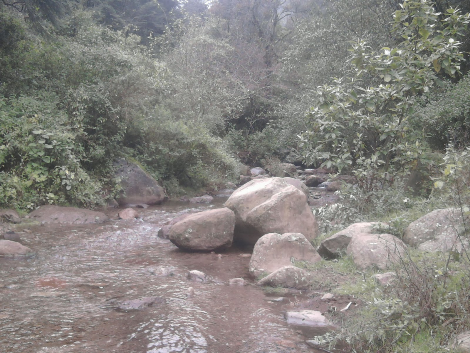 municipio de jilotzingo