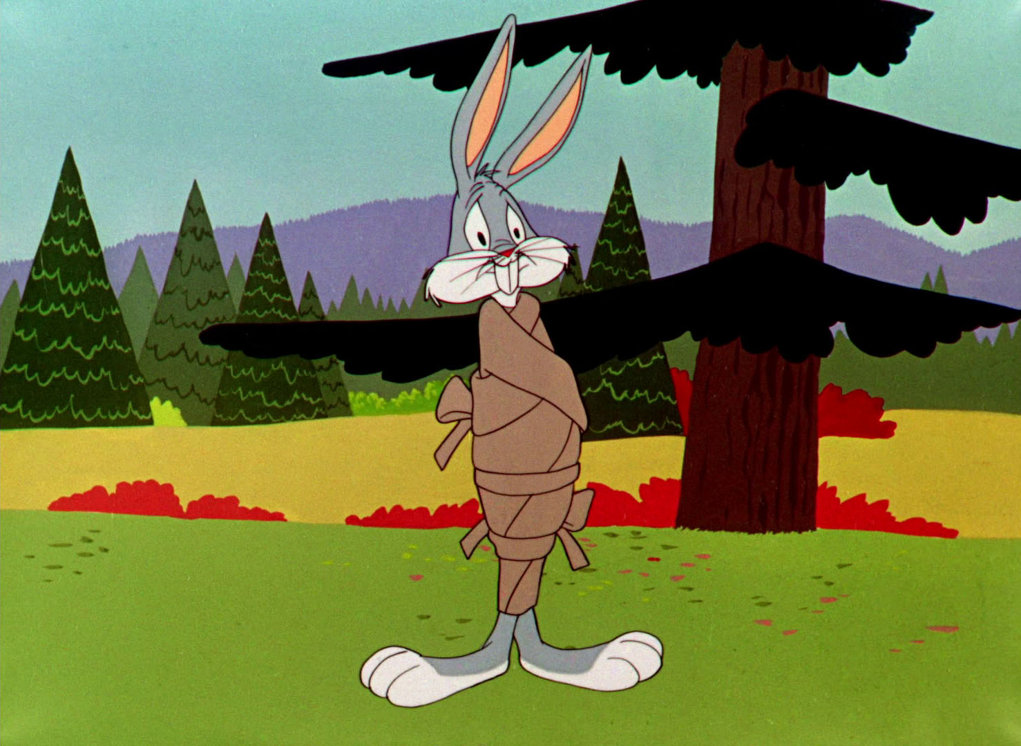 The Hasty Hare - cartoon characters