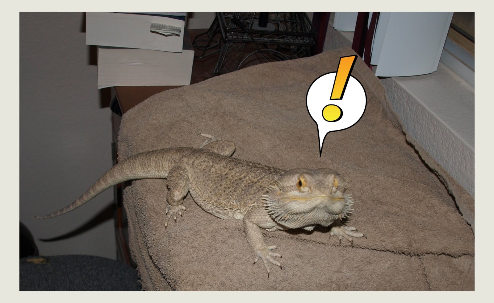 Pocket Change Charm: Bath Time For Lizard