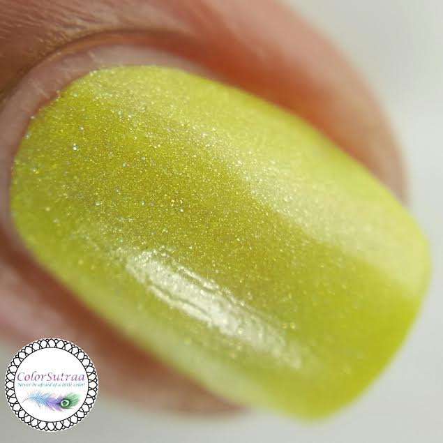 DAINTY DIGITS POLISH Rainbow Gelato collection...plus a BONUS holo ...