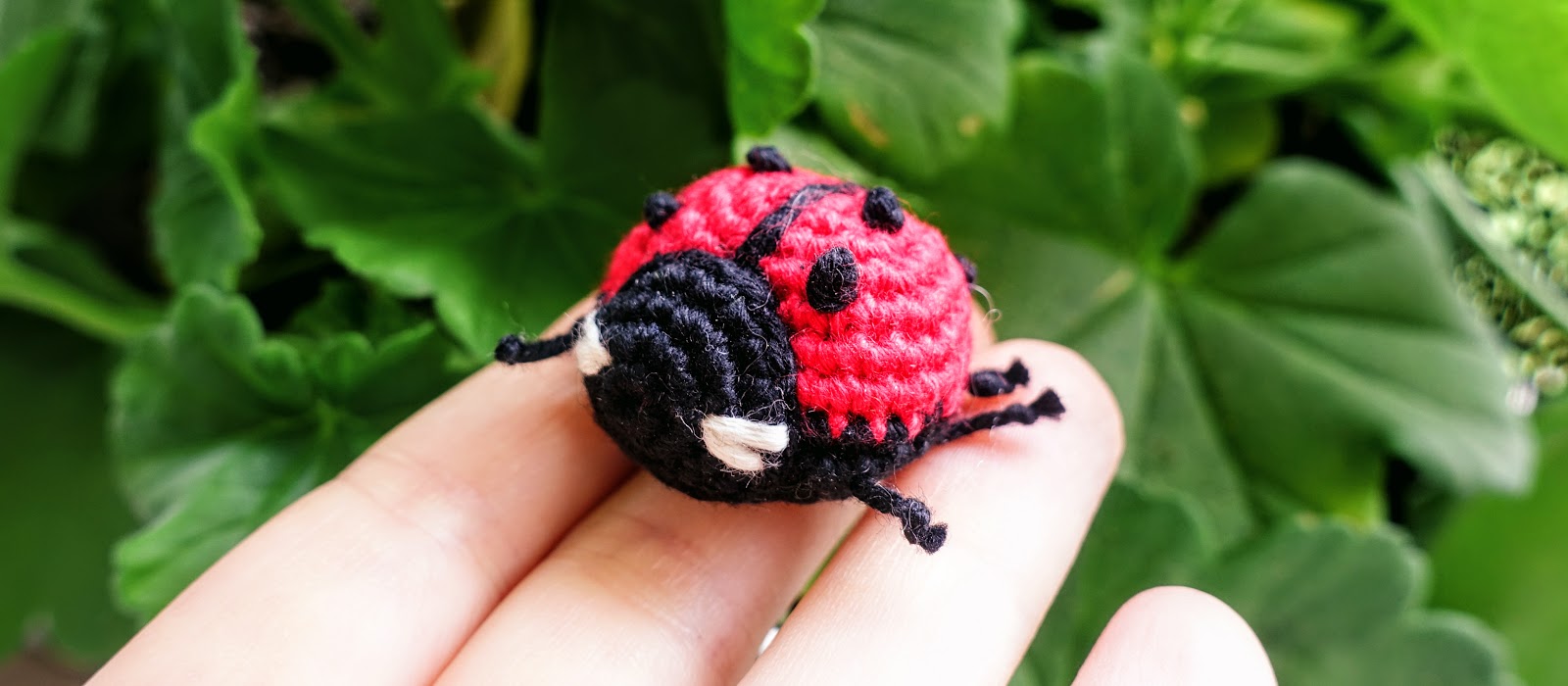 Ladybug Pattern