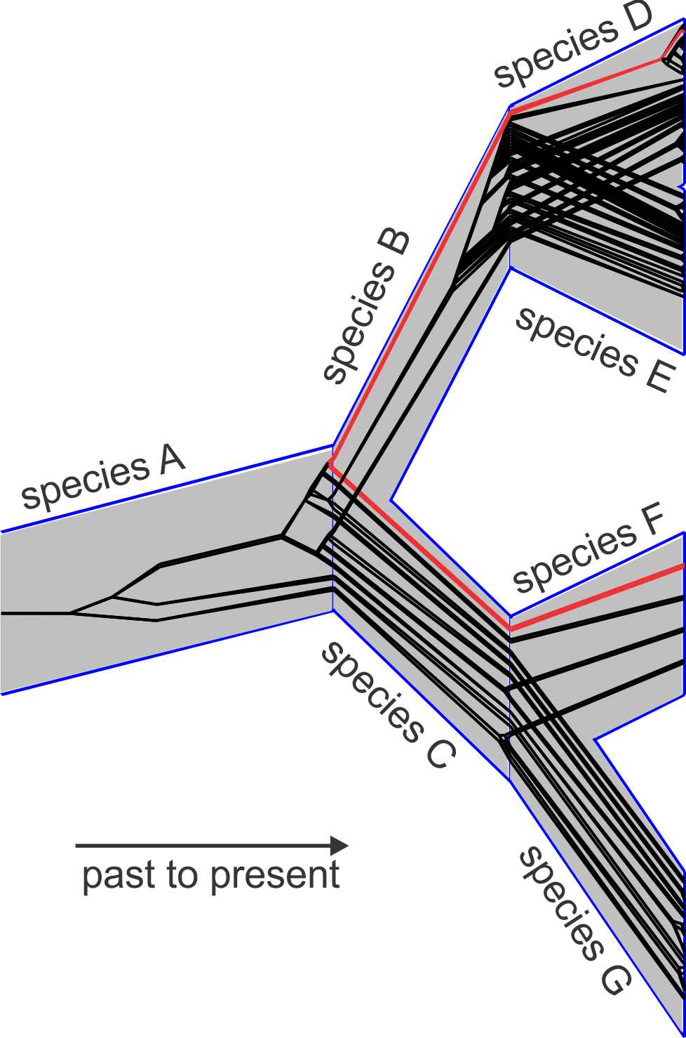 PhyloBotanist: Simplistic molecular phylogenetics and incomplete ...