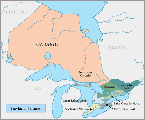 Great Americans: Iroquois and Huron Culture