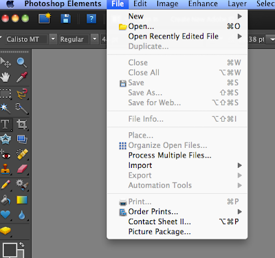 Tutorial-How to put text on a picture using photoshop elements - Key To ...