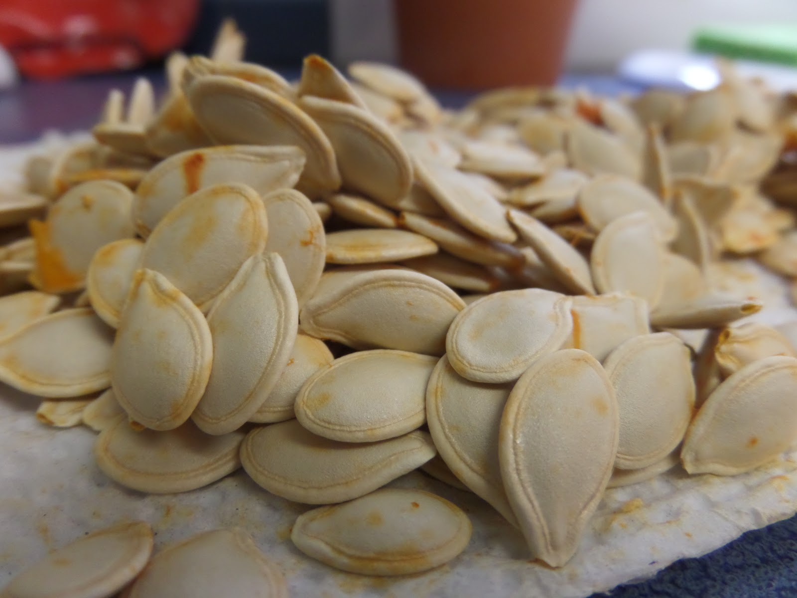 Black Cat Carved Pumpkin & Halloween Decorating Ideas