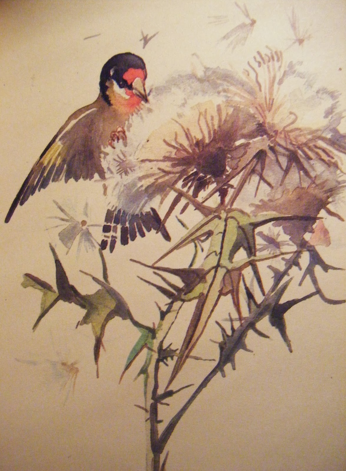 Beach-Combing Magpie: Edith Holden's Nature Notes in a Country Diary...