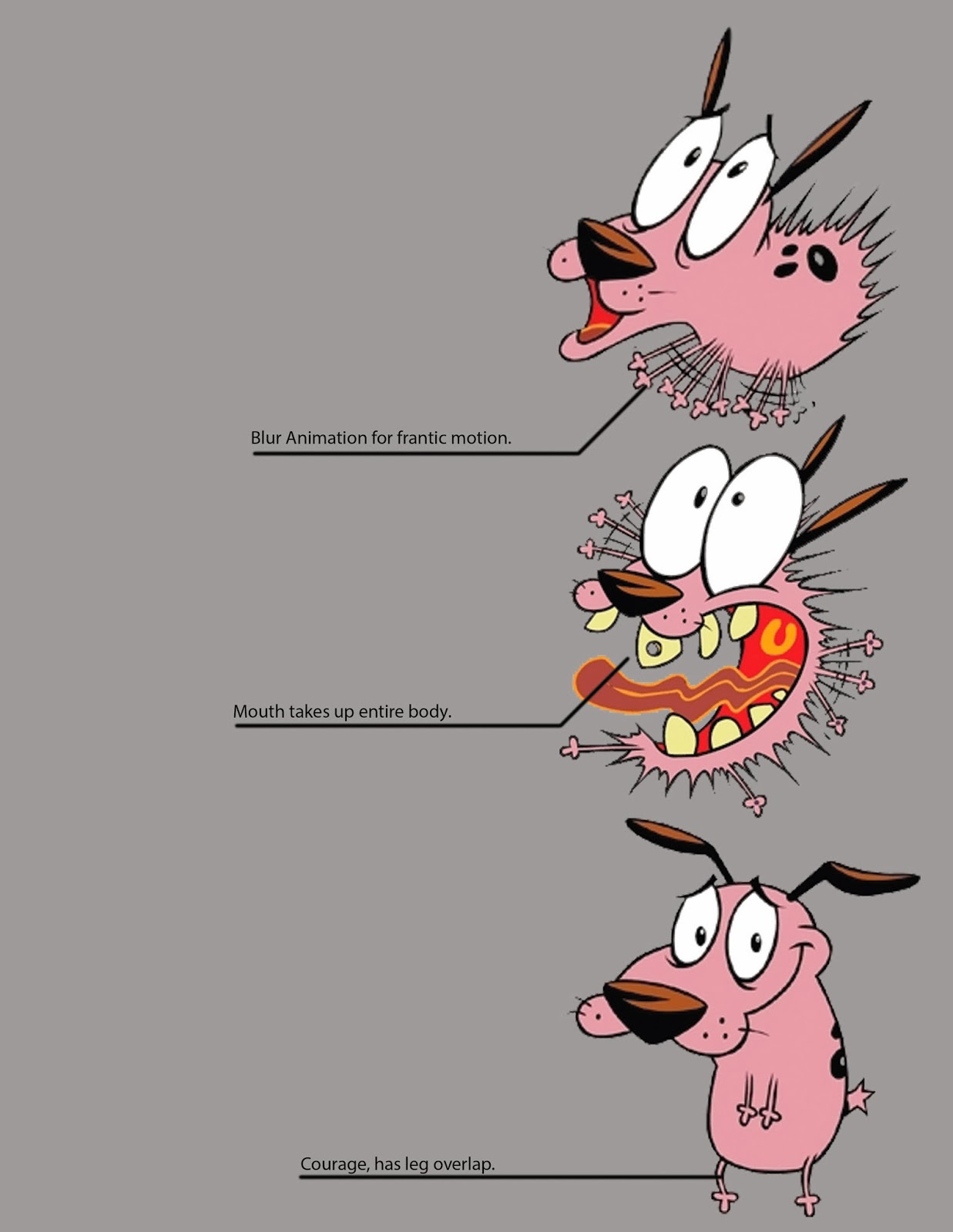 SJSU Adobe Team Project