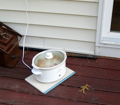 Crafts, Cavies and Cooking: Outdoor Cooking