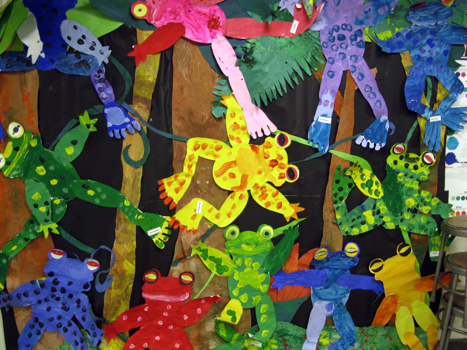 smARTcookie: Giant Rainforest Tree Frogs