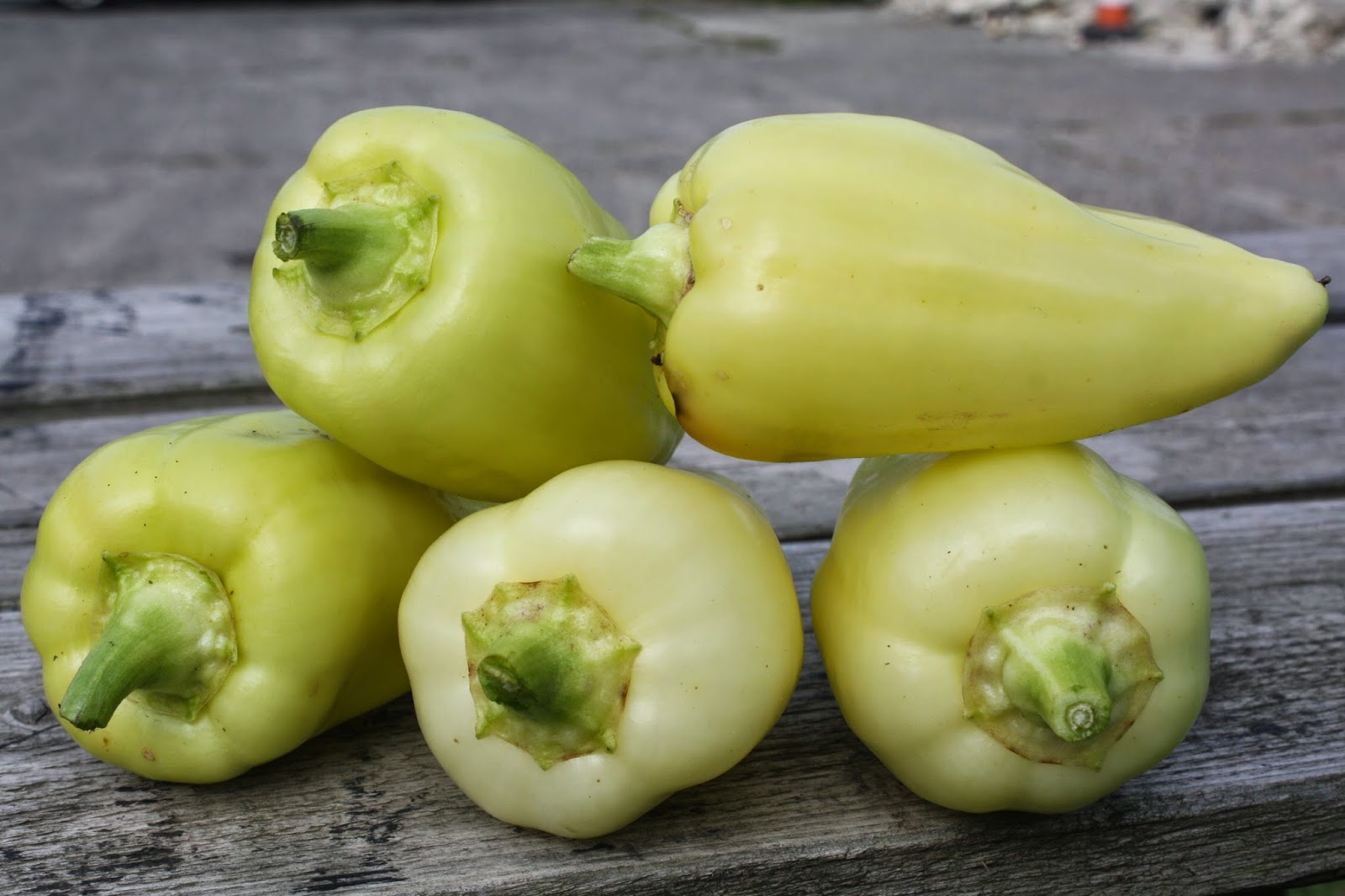 Bosavern Community Farm: Peppers.