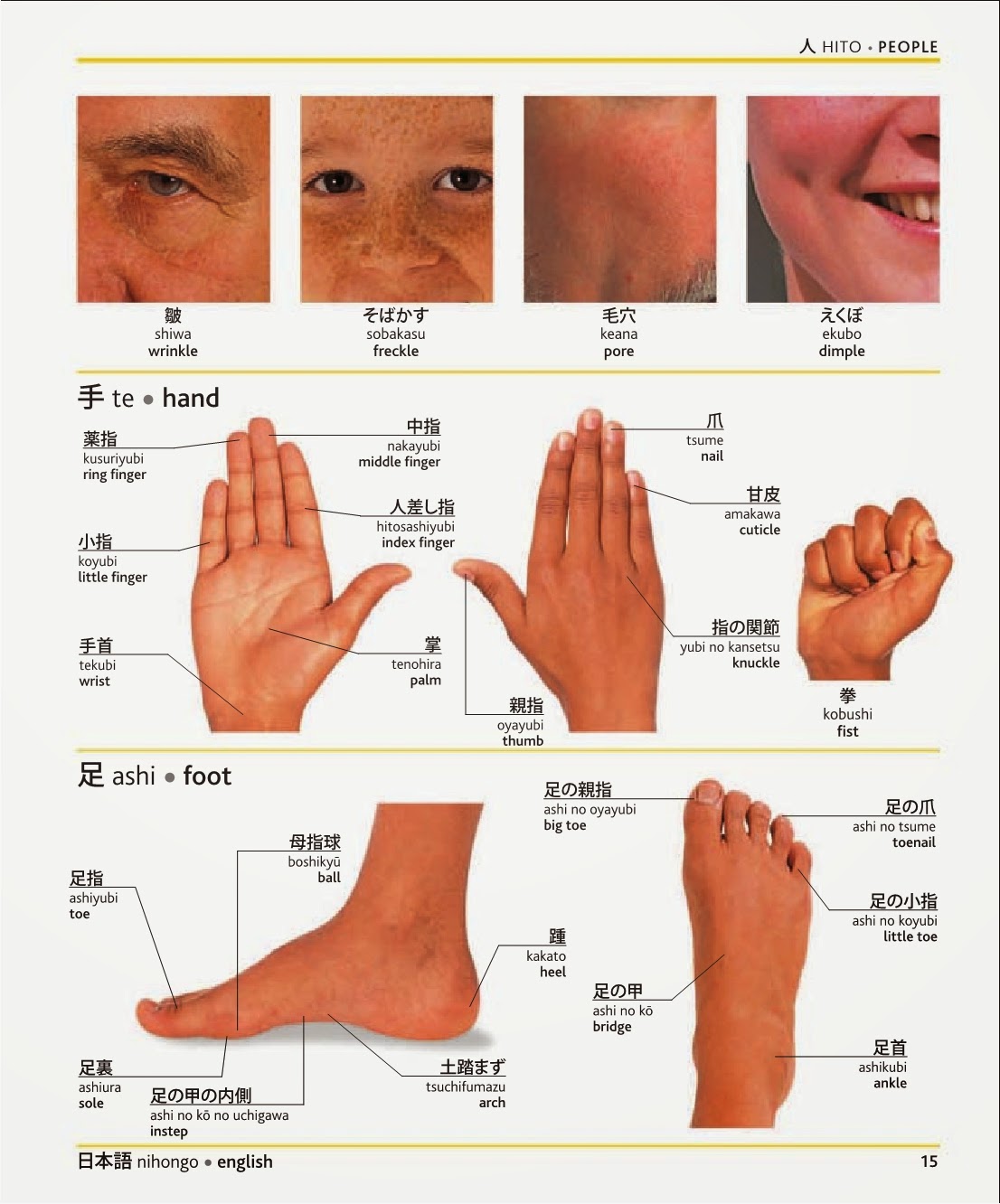 人 hito People - Japanese For Beginners