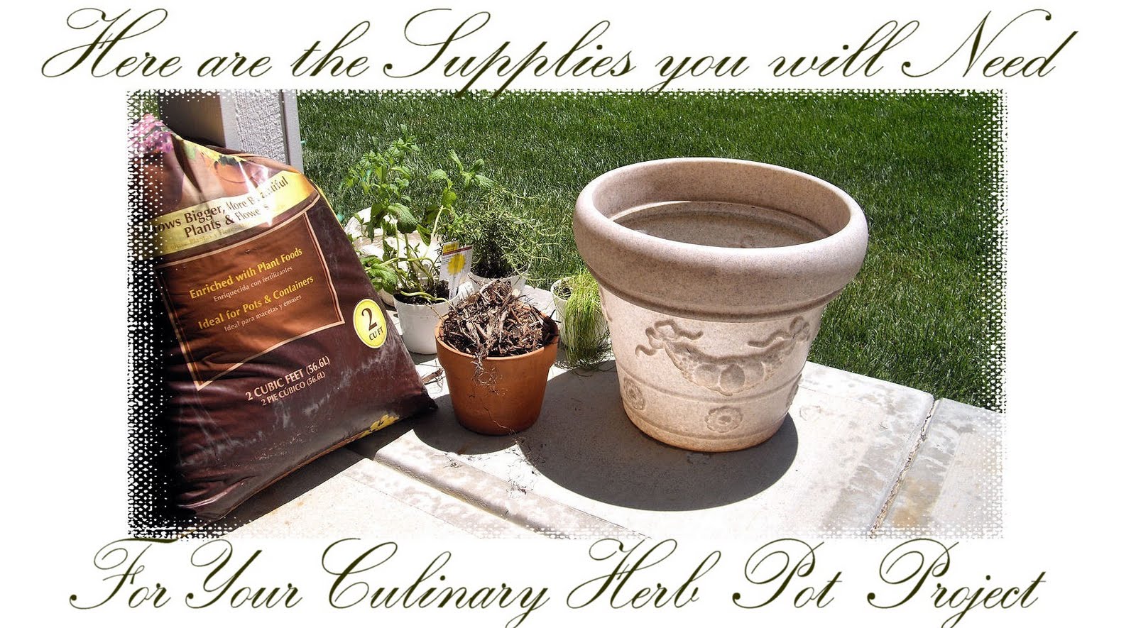 Shannon's Shanonigins: Planting A Culinary Herb Pot