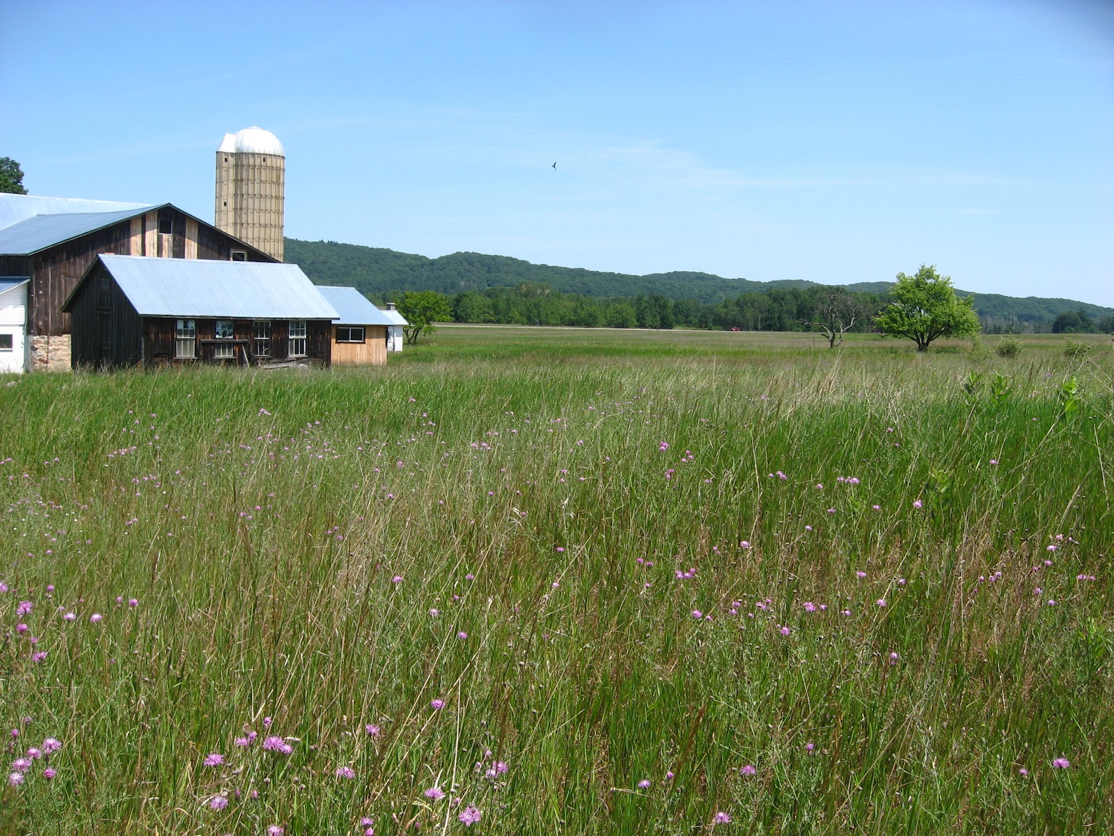 Happy Home: Appreciating "place" at Sleeping Bear Dunes