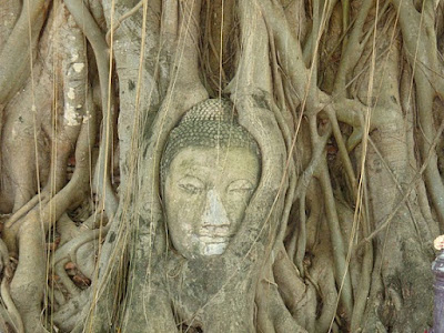 Treasures of Ayutthaya: Ayutthaya พระนครศรีอยุธยา: What remained from a ...