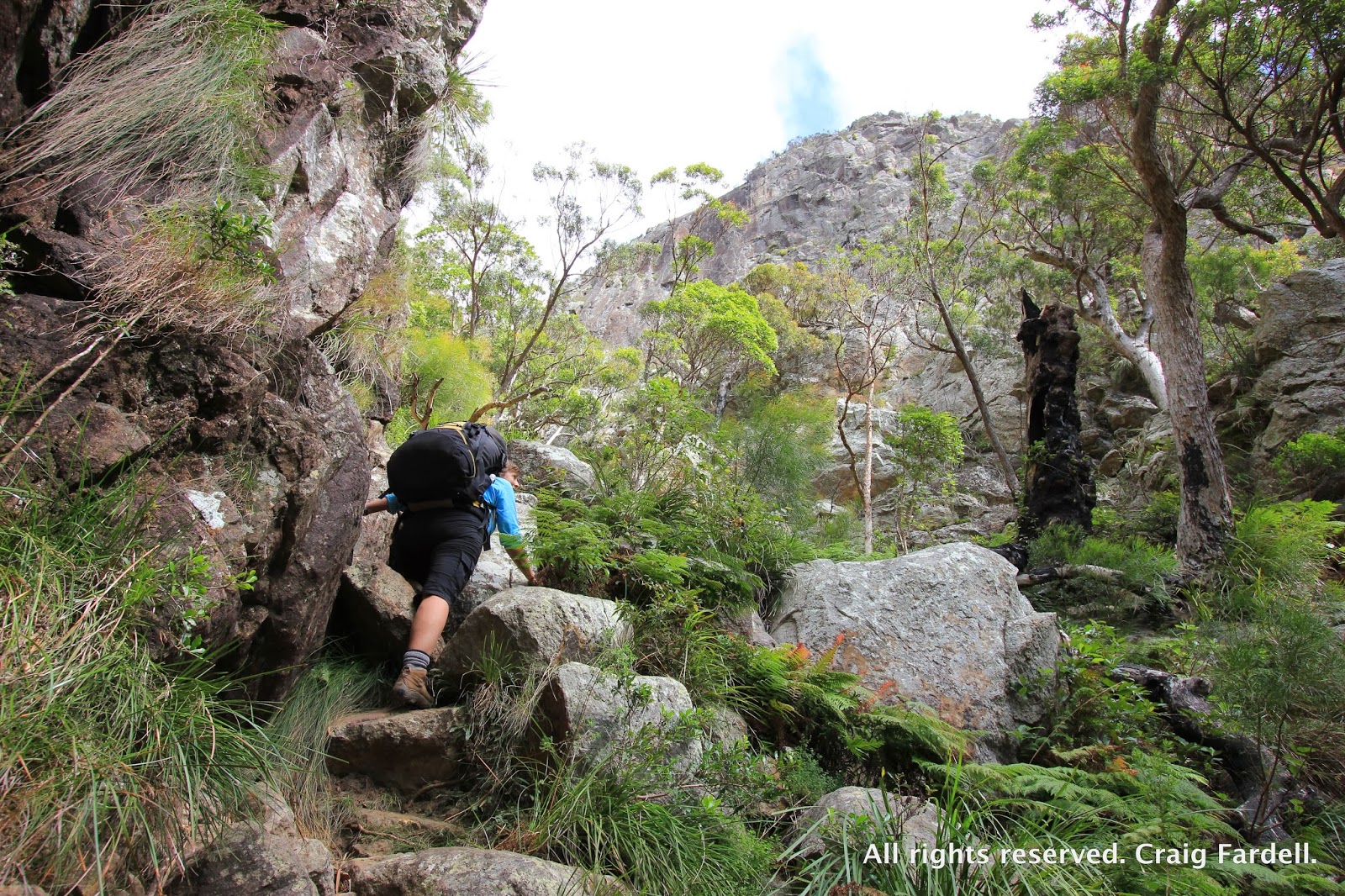 awildland: Mt Maroon - Mount Barney National Park