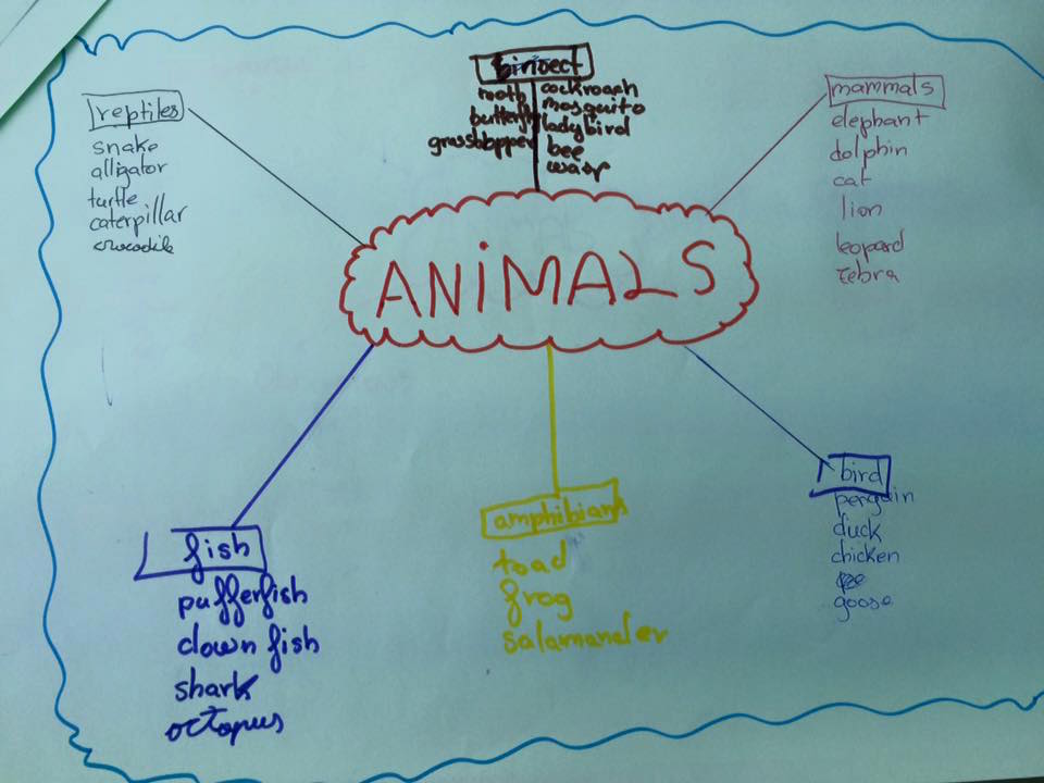 OUR ENGLISH CLASS: Animals around the World