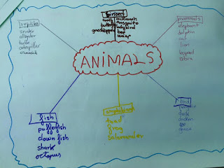 OUR ENGLISH CLASS: Animals around the World
