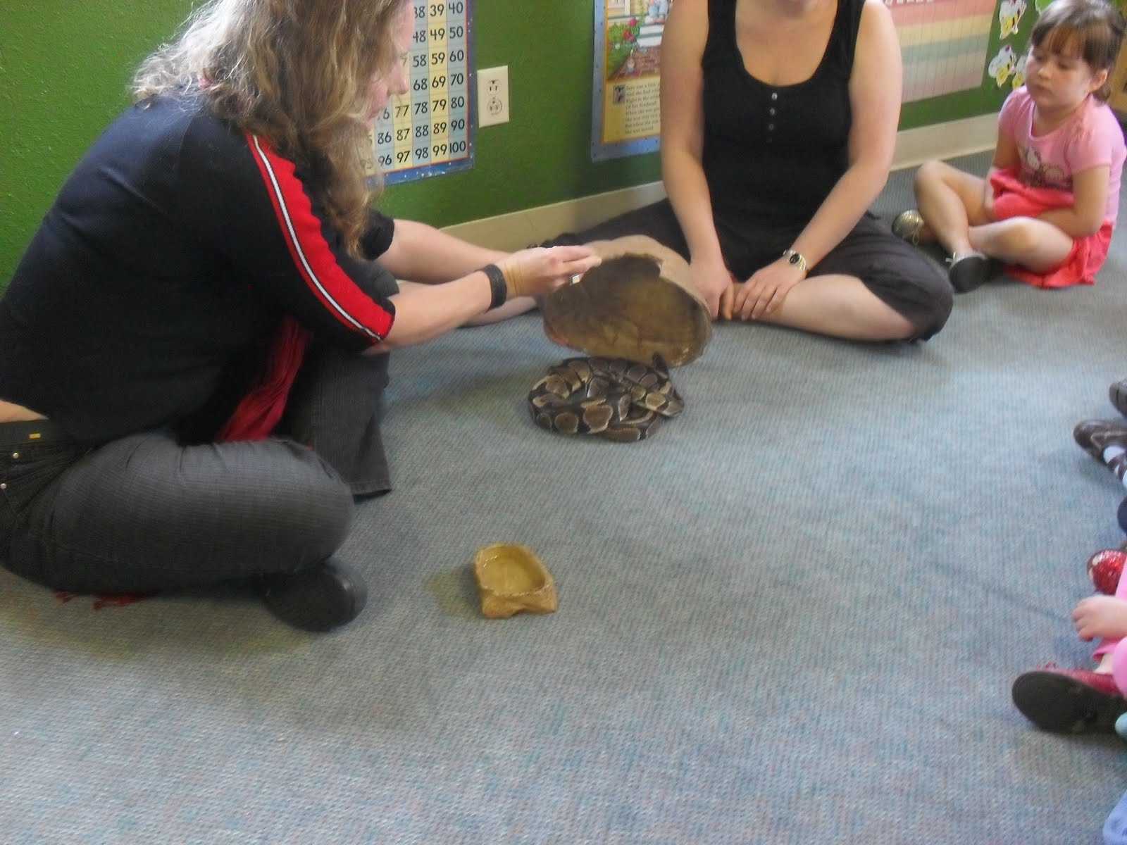 Ms. Ariann's Preschool Classroom: Snake Presentation