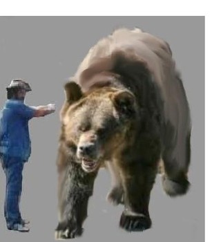 Abe's Animals: Bergman's bear