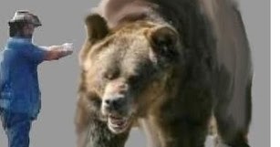 Abe's Animals: Bergman's bear