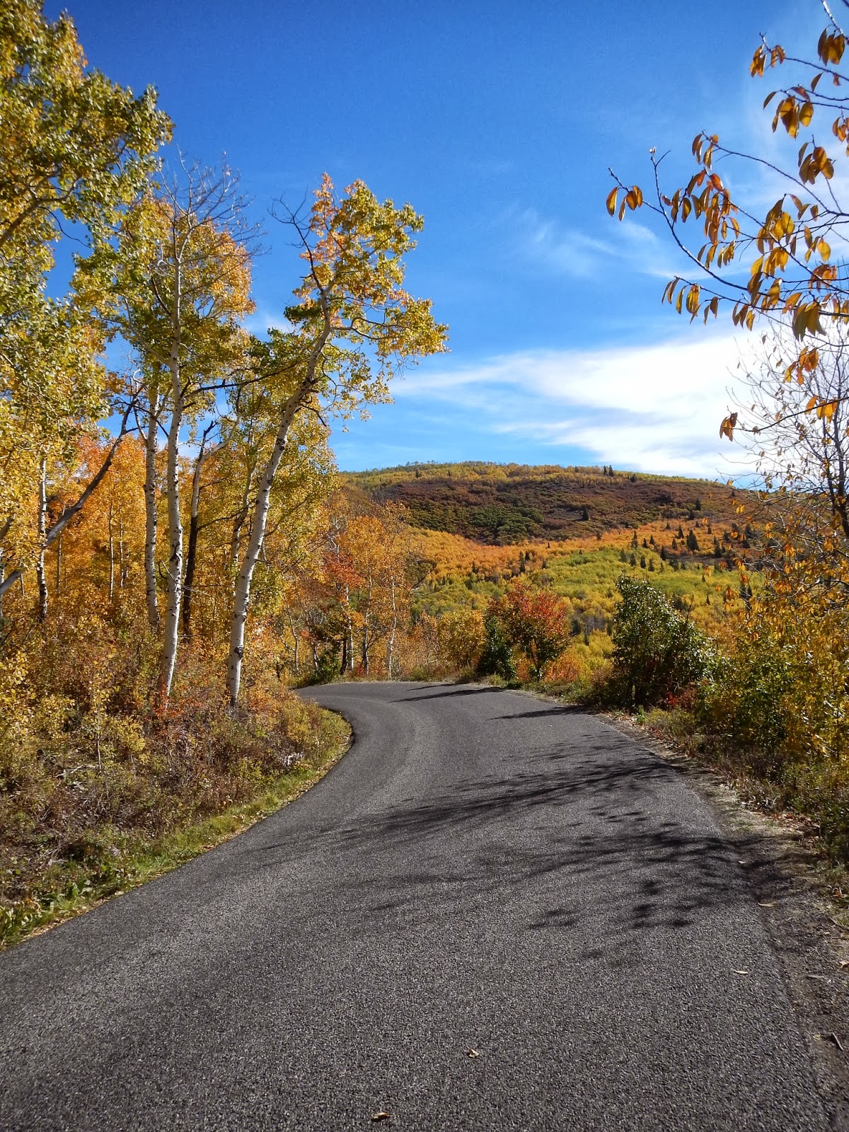 A Place to Share: Alpine Loop Fall 2013