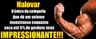 halovar InSLINsified