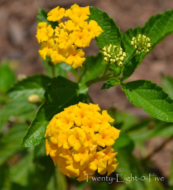 2805: Potpourri Friday #25