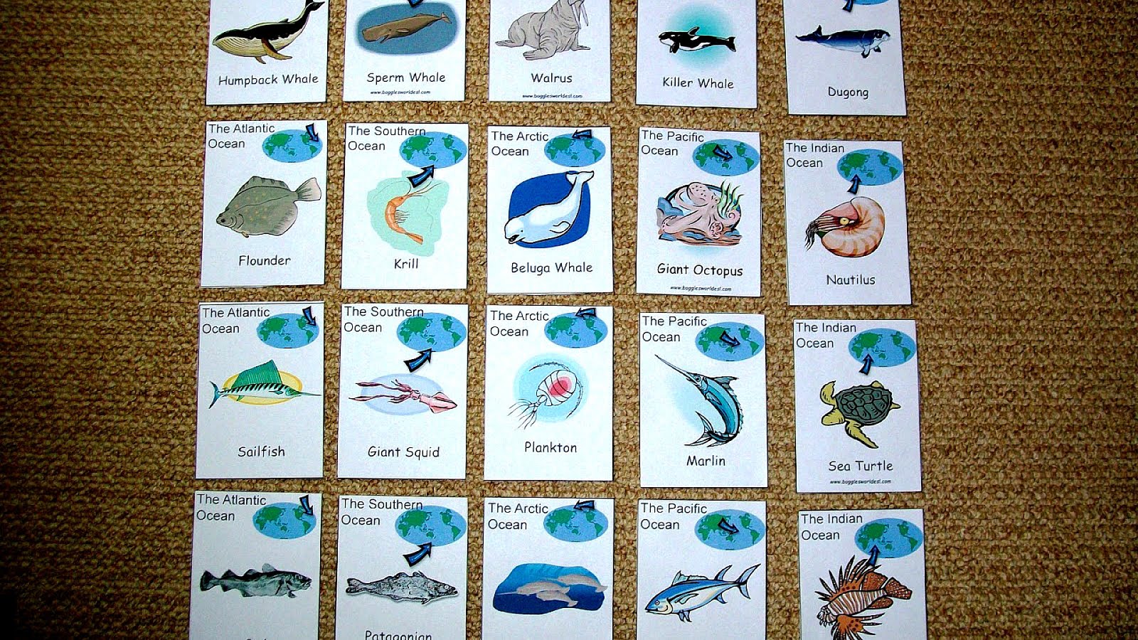 Names Of Endangered Species Of Animals - Danger Choices