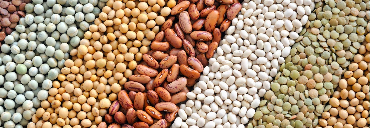 Choosing the Best Agro Commodities for a Healthy Life ~ Online Business ...