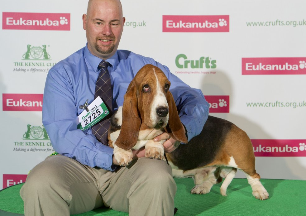 Pedigree Dogs Exposed - The Blog: Breeding better Bassets