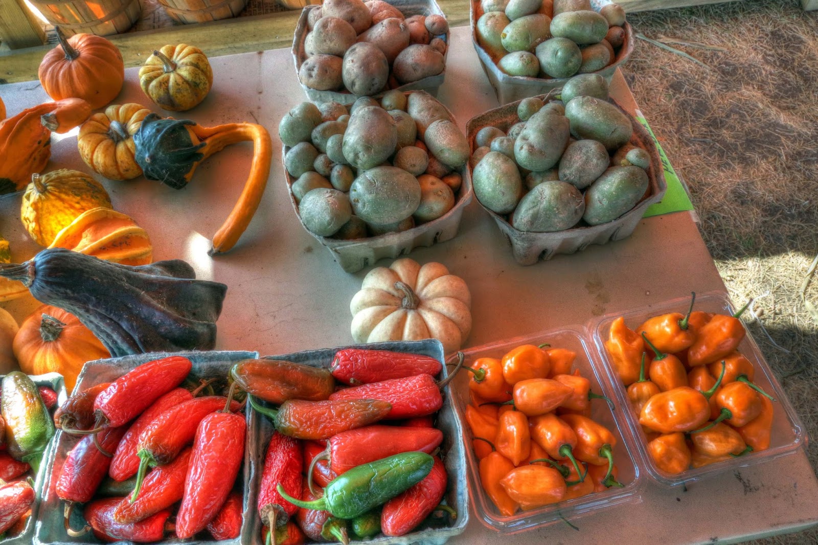 John and Sigrid's Adventures: Fall Country Vegetable Stand - 10/11/2013
