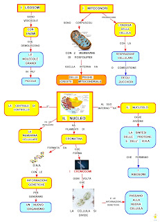 MAPPER: NUCLEO CELLULARE