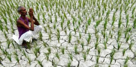 IPS CLIMATEnet: Climate Change Policy Network of Sri Lanka: Use of ...