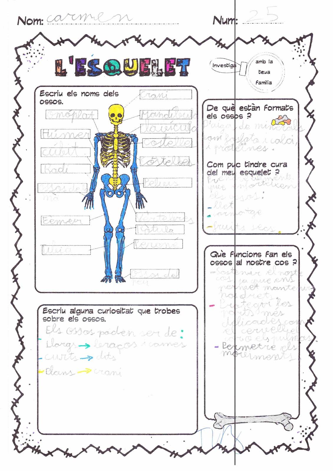 Blog de anillas: L'ESQUELET