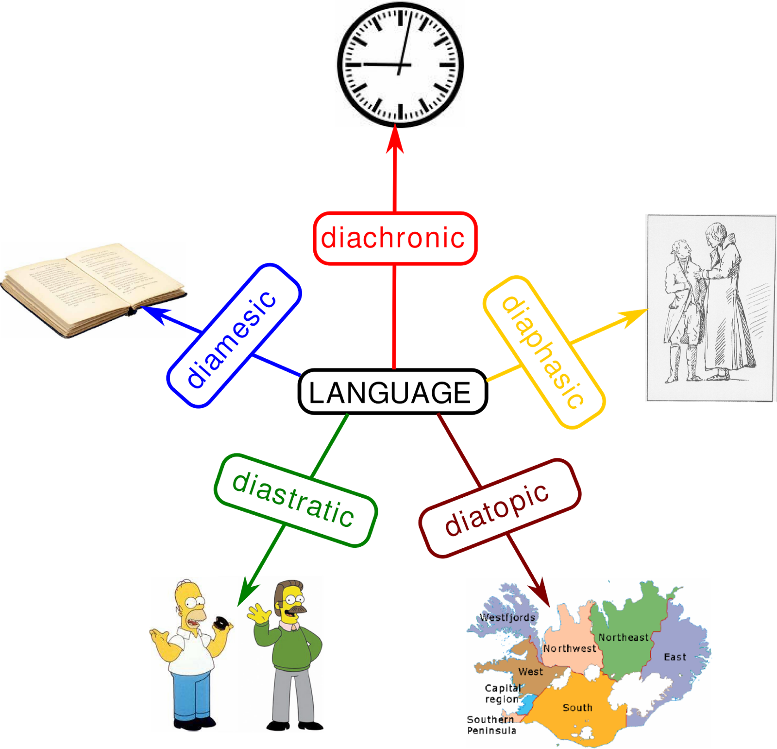 The Genealogical World of Phylogenetic Networks: The diasystematic ...