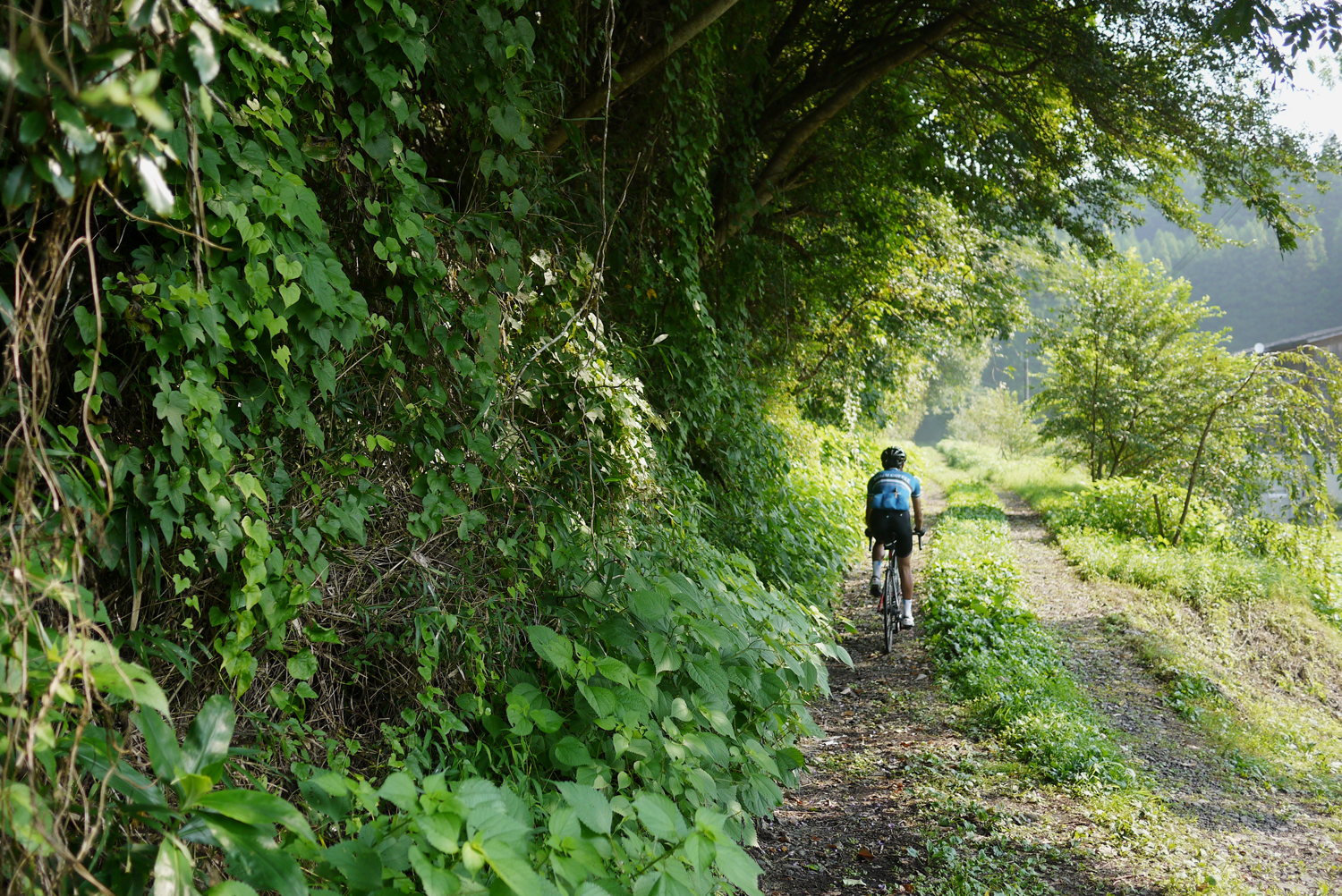 Peak Experience: Outside is Free