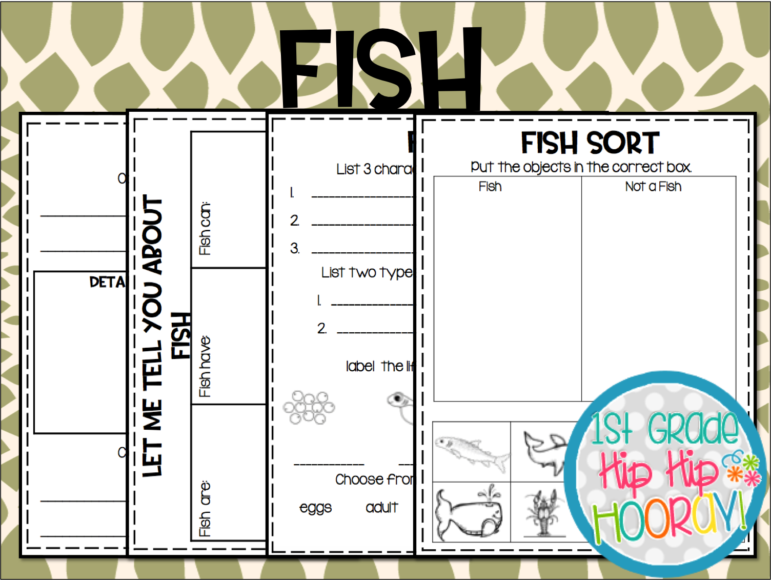 1st Grade Hip Hip Hooray!: Let's Explore Fish